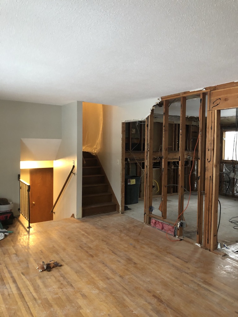 Mid-Renovation Update: Demo to Drywall! - Sima Spaces
