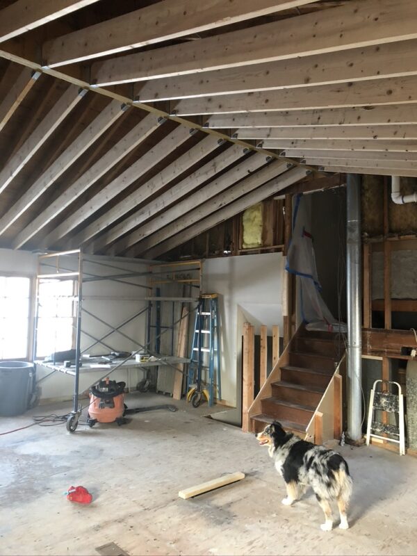 Mid-Renovation Update: Demo to Drywall! - Sima Spaces